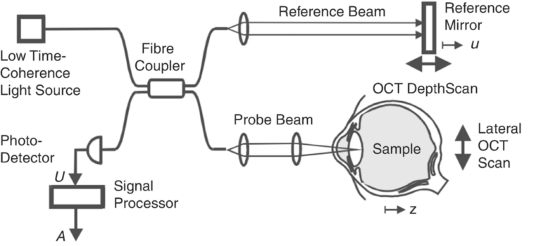 Happy New Year! Revisiting OCT and the Future of Cancer Imaging - BNB ...